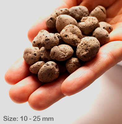 Leca AE